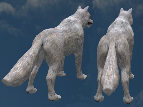 Second Life Marketplace - White Wolf - Mesh - Full Perm