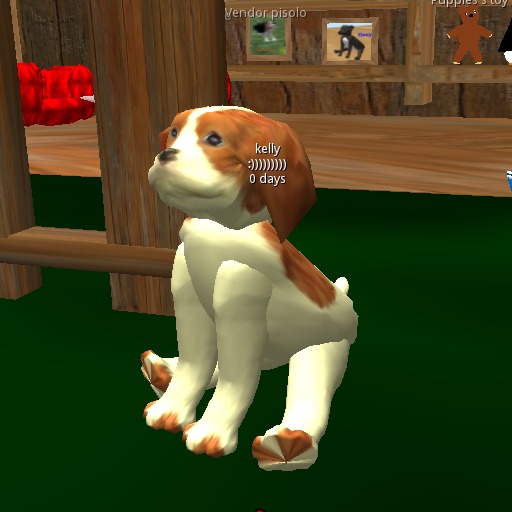 Second Life Marketplace - Kelly, dog puppy with AI, (cucciolo di cane)