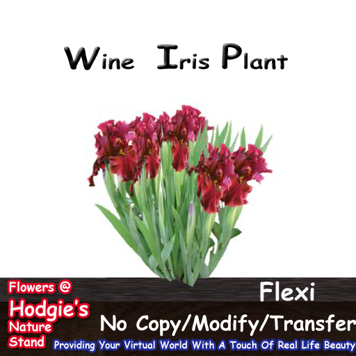 Second Life Marketplace - Hodgie's Flowers & Plants -- Wine Flexi Iris ...
