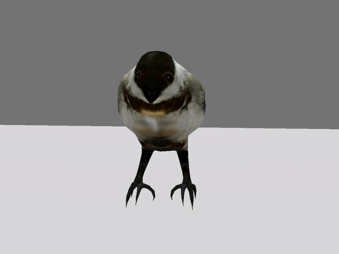 Second Life Marketplace - Sculpted Black-capped Chickadee (animated)