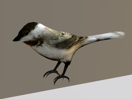 Second Life Marketplace - Sculpted Black-capped Chickadee (animated)