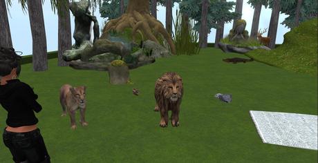 Second Life Marketplace - Lion & Lioness With Roar sound (boxed)