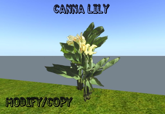 Second Life Marketplace - 1 Prim Canna Lily