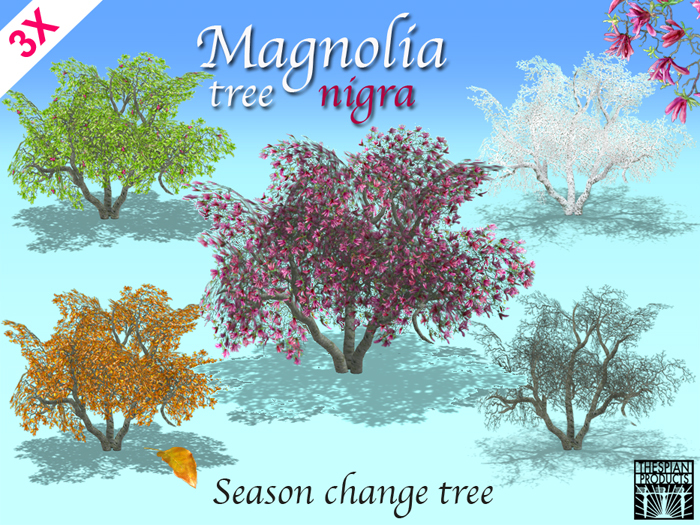 Second Life Marketplace - Magnolia Nigra Tree PACK (3x) - four seasons ...
