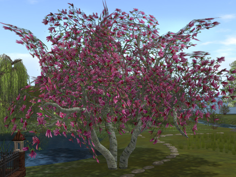 Second Life Marketplace - Magnolia Nigra Tree PACK (3x) - four seasons ...