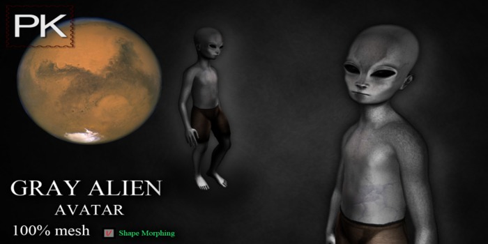 Second Life Marketplace - [PK] GRAY ALIEN - AVATAR 100% MESH