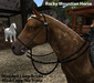 Second Life Marketplace - Studded Loop Bridle- Rocky Mountian