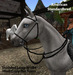 Second Life Marketplace - Studded Loop Bridle- American Standarbred