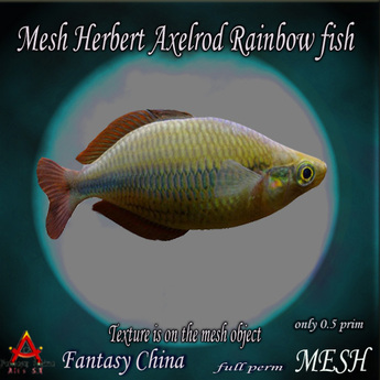 Second Life Marketplace - Mesh Herbert Axelrod Rainbow fish full perm 0 ...