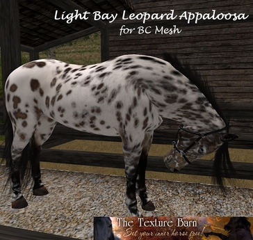 Second Life Marketplace - BC - Lt Bay Leopard Appy Texture Pack