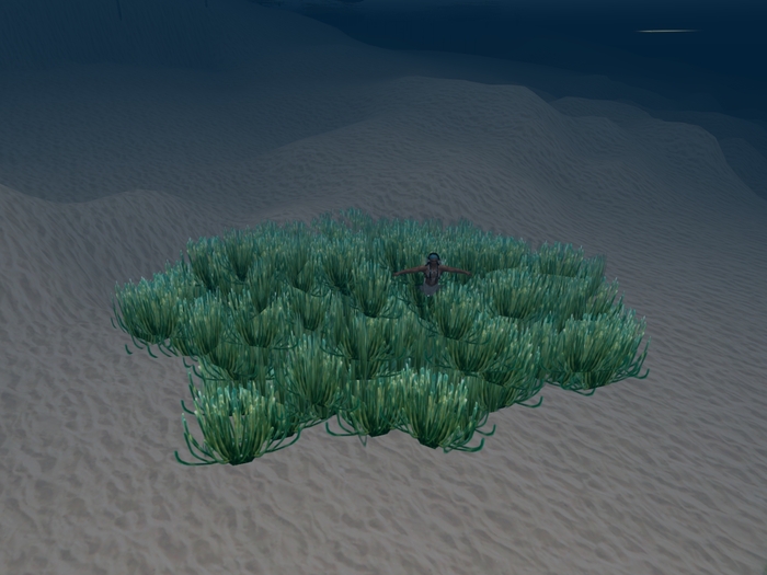 Second Life Marketplace - Ocean Seaweed Field D, 1 multiface LOD prim.