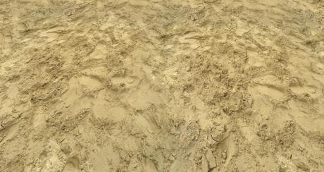 Second Life Marketplace - Texture sand_54