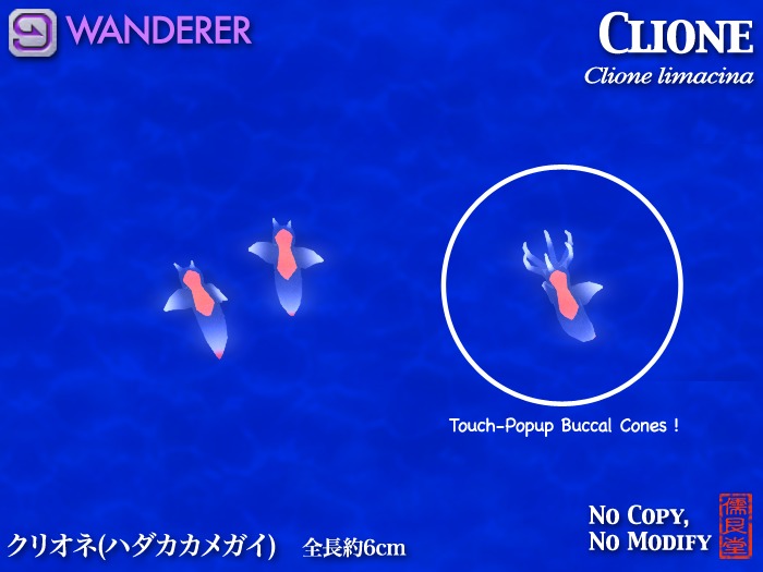Second Life Marketplace - Clione WANDERER (3 animals pack)