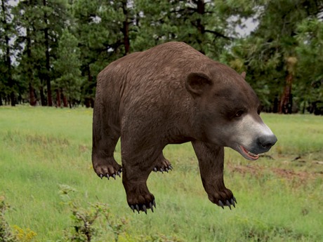 Second Life Marketplace - Black & Brown Bears - Mesh - Full Perm