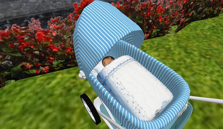 Second Life Marketplace - NEWBORN SINGLE PRAM - Boy - Blue