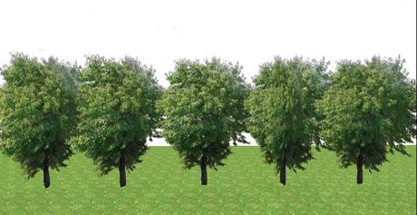 Second Life Marketplace - WoW Mesh Texture Change Trees