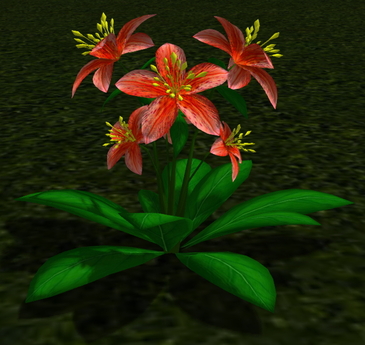 Second Life Marketplace - LW_ Ground Lily _ Orange