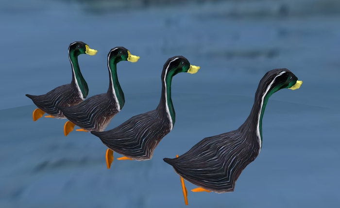 Second Life Marketplace - Swimming Ducks low prim sculpted
