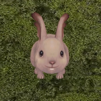 Second Life Marketplace - Rabbit
