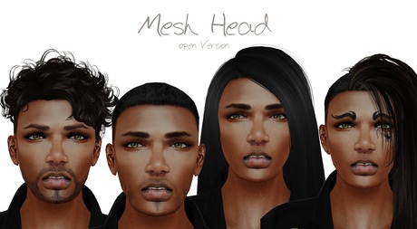 Second Life Marketplace - Mesh Head Nuru open Version