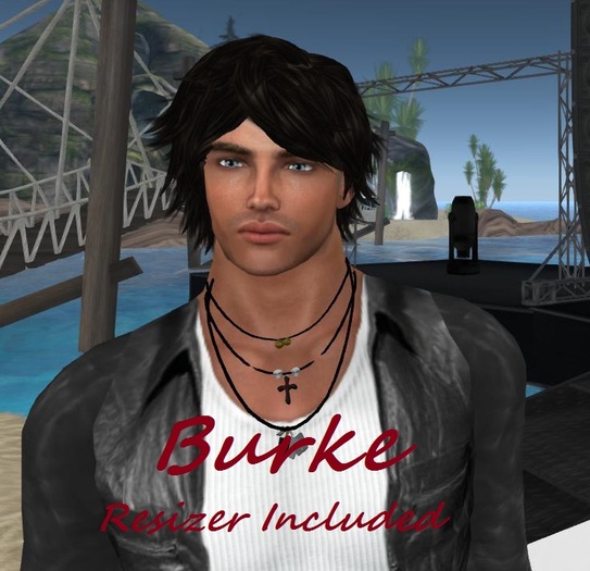 Second Life Marketplace - BURKE HAIR - MALE HAIR MEDIUM