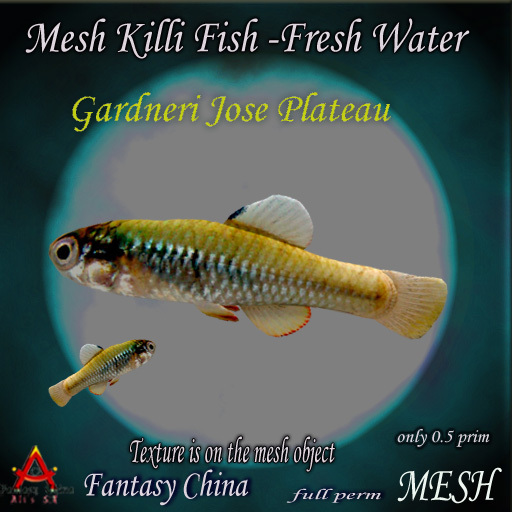 Second Life Marketplace - FC Mesh Killi fish-fresh wateR-gardneri Jose ...