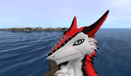 Second Life Marketplace - [S.S.]KZK Sergal Piercing the nose of braided ...