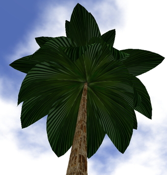 Second Life Marketplace - LW_ Palm Tree Mesh - Style 9