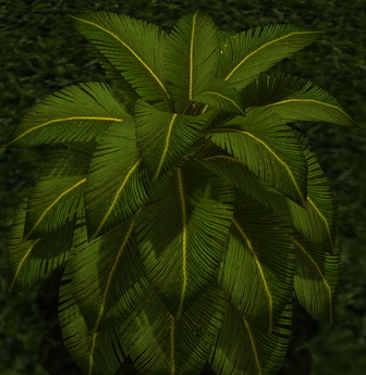 Second Life Marketplace - LW_ Mesh Palm in Pot - 5