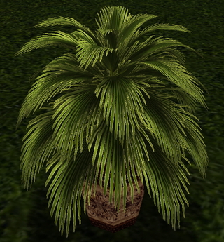 Second Life Marketplace - LW_ Mesh Palm in Pot - 7