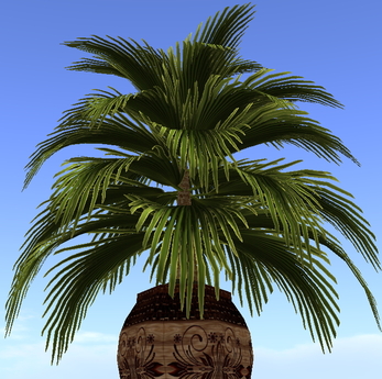 Second Life Marketplace - LW_ Mesh Palm in Pot - 7
