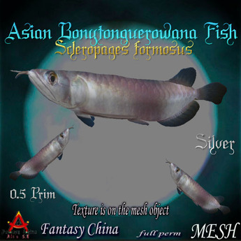 Second Life Marketplace - Fantasy China Asian Bonytonguerowana Fish ...