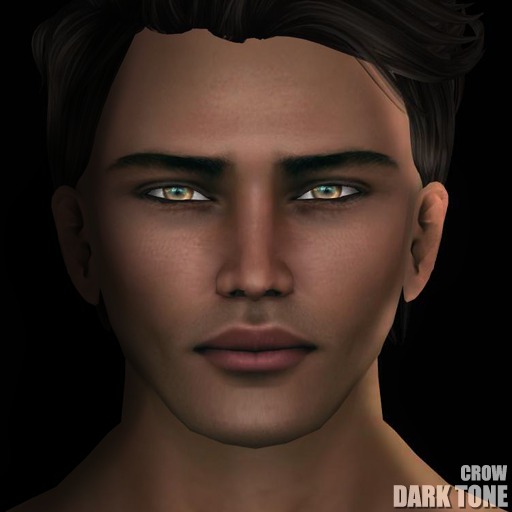 Second Life Marketplace - -NIVARO - Crow Skin - Dark Tone