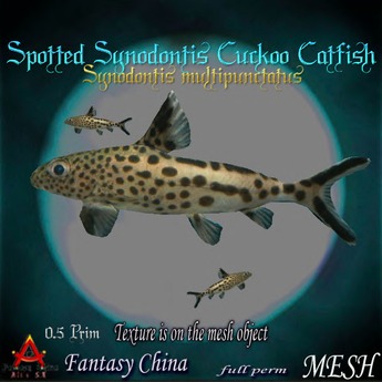 Second Life Marketplace - Fantasy China Spotted Synodontis Cuckoo ...