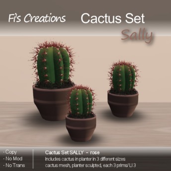 Second Life Marketplace - Fi's Creations - Cactus Set SALLY rose - boxed