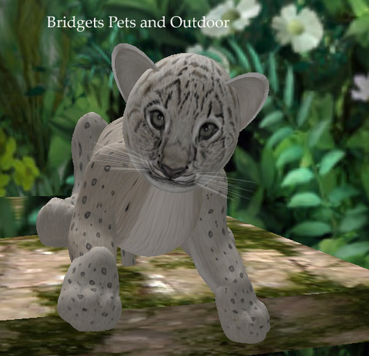 Second Life Marketplace - Bridget's Animated Little Snow Leopard ...