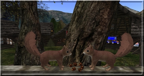 Second Life Marketplace - ~*SR*~ Static Squirrels with Nuts and Sounds cm Box