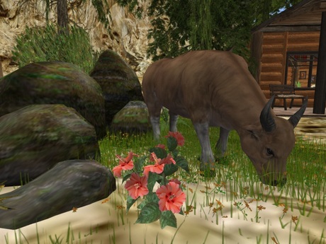 Second Life Marketplace - >VAL