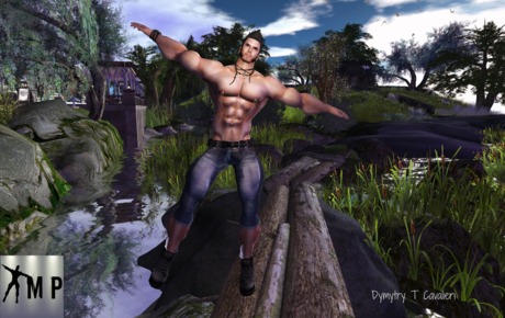 Second Life Marketplace - Male Poses - Equilibrium