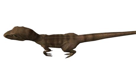 Second Life Marketplace - Raptor 13 prims